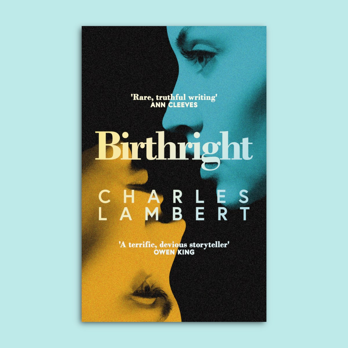 Birthright – Andy Barr Books